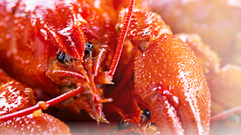 Enjoy good crawfish, better people | L'Observateur