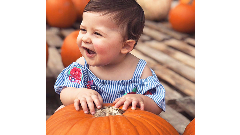 West Bank gets its 1st Pumpkin Patch this weekend | L'Observateur