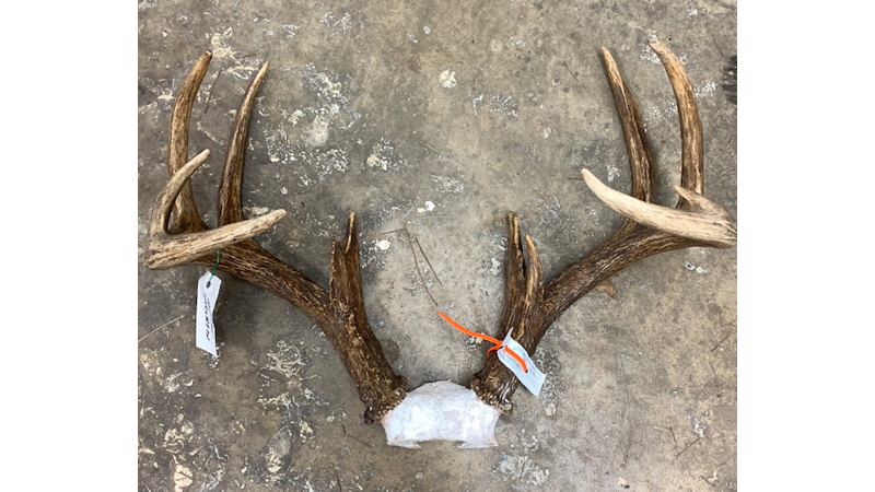 LDWF Reminds Hunters And Public to Use Precautions When Preparing and ...