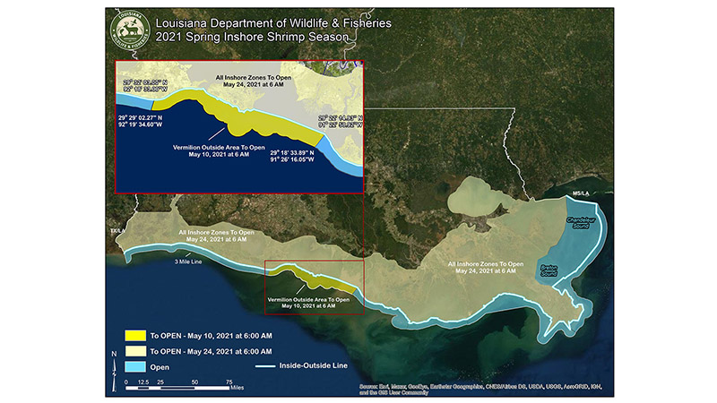LDWF announces opening dates for the spring inshore shrimp season | L ...