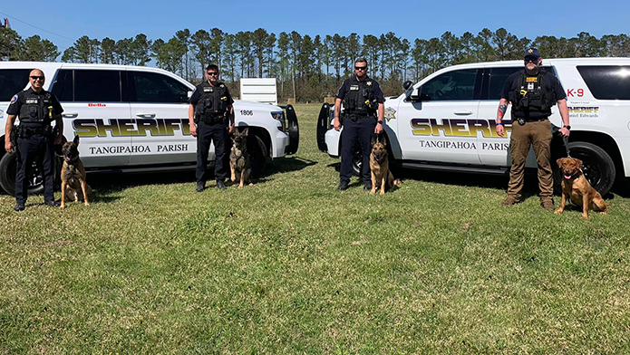 TPSO K9 shines | L'Observateur