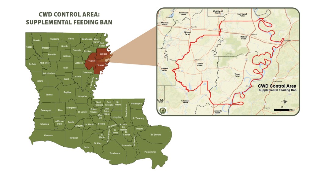 LDWF Reports on Testing for CWD in Franklin, Madison and Tensas ...