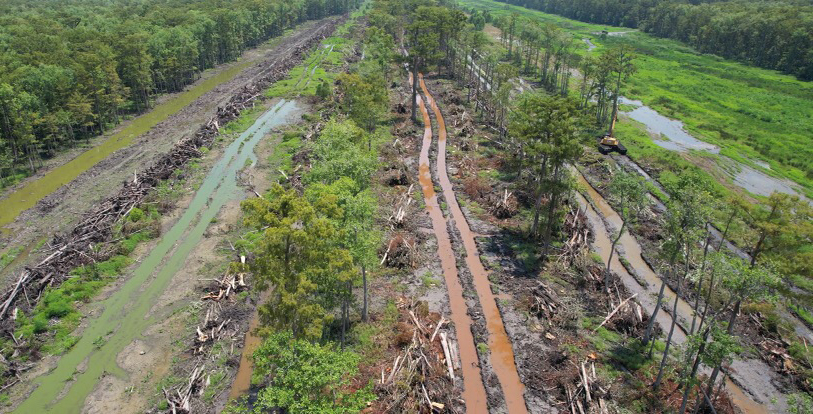 Construction contracts awarded for West Shore Levee Project | L'Observateur